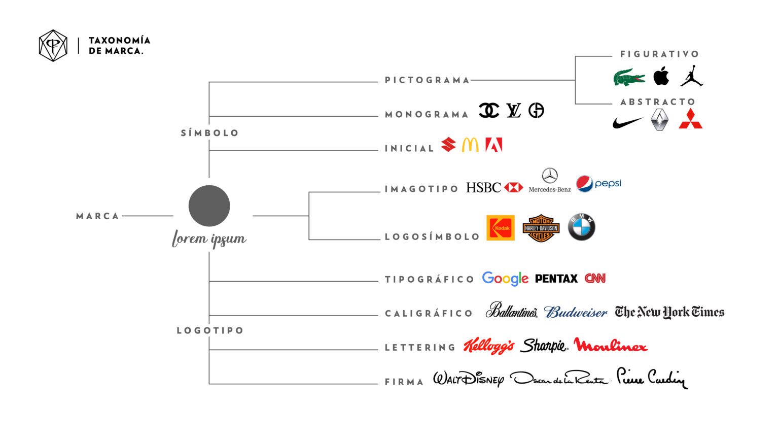 Le design d'identité de marque : Guide & exemples - Lotin Corp.